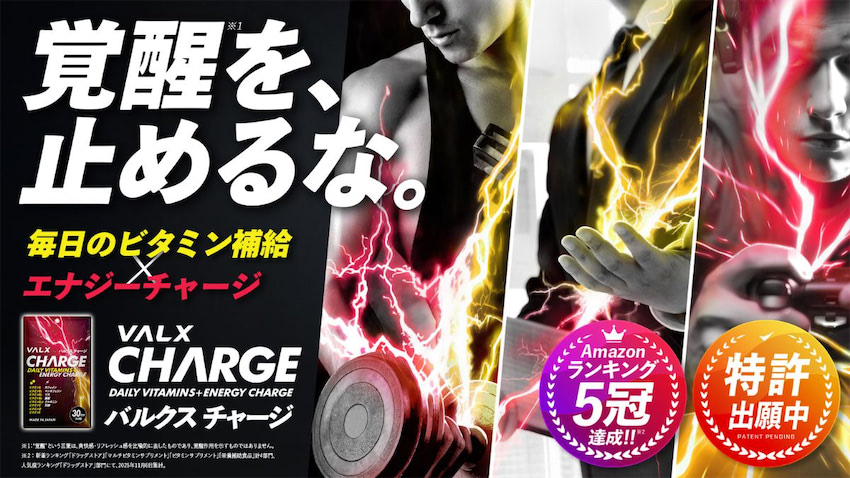 VALX、「VALX CHARGE」5冠達成 新商品がAmazonで1位 | 日本ネット経済新聞｜新聞×ウェブでEC＆流通のデジタル化をリード