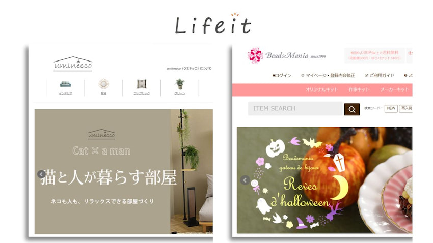 Lifeit、EC売上は横ばい ペット用品「uminecco」とビーズ用品「ビーズマニア」が好調 | 日本ネット経済新聞｜新聞×ウェブでEC＆流通のデジタル化をリード